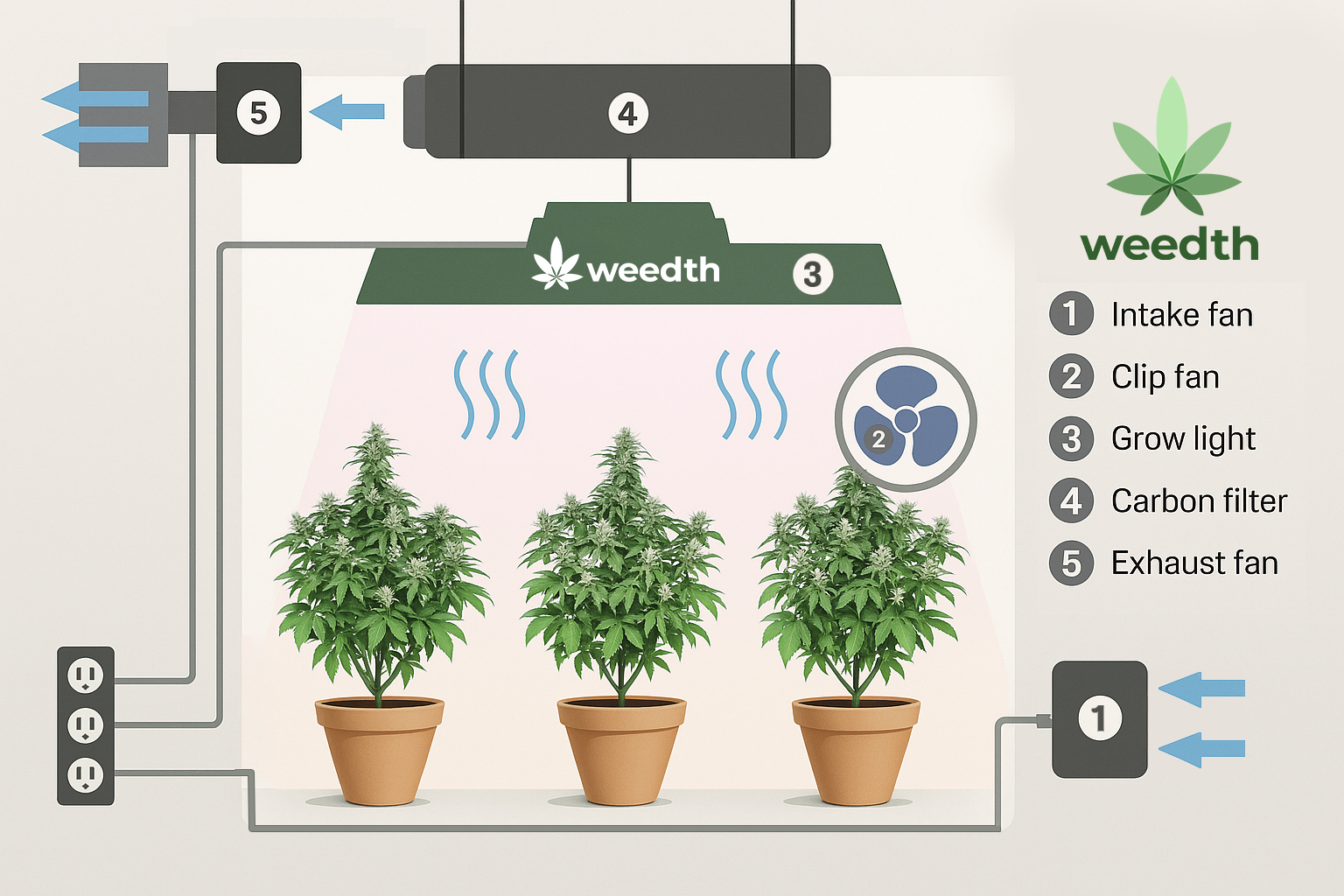 Ventilation Systems for Cannabis: Design & Setup Guide | Weedth